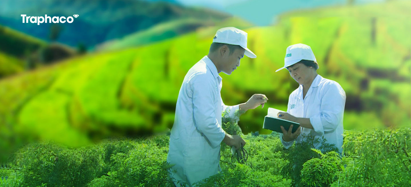 CÔNG TY CỔ PHẦN TRAPHACO